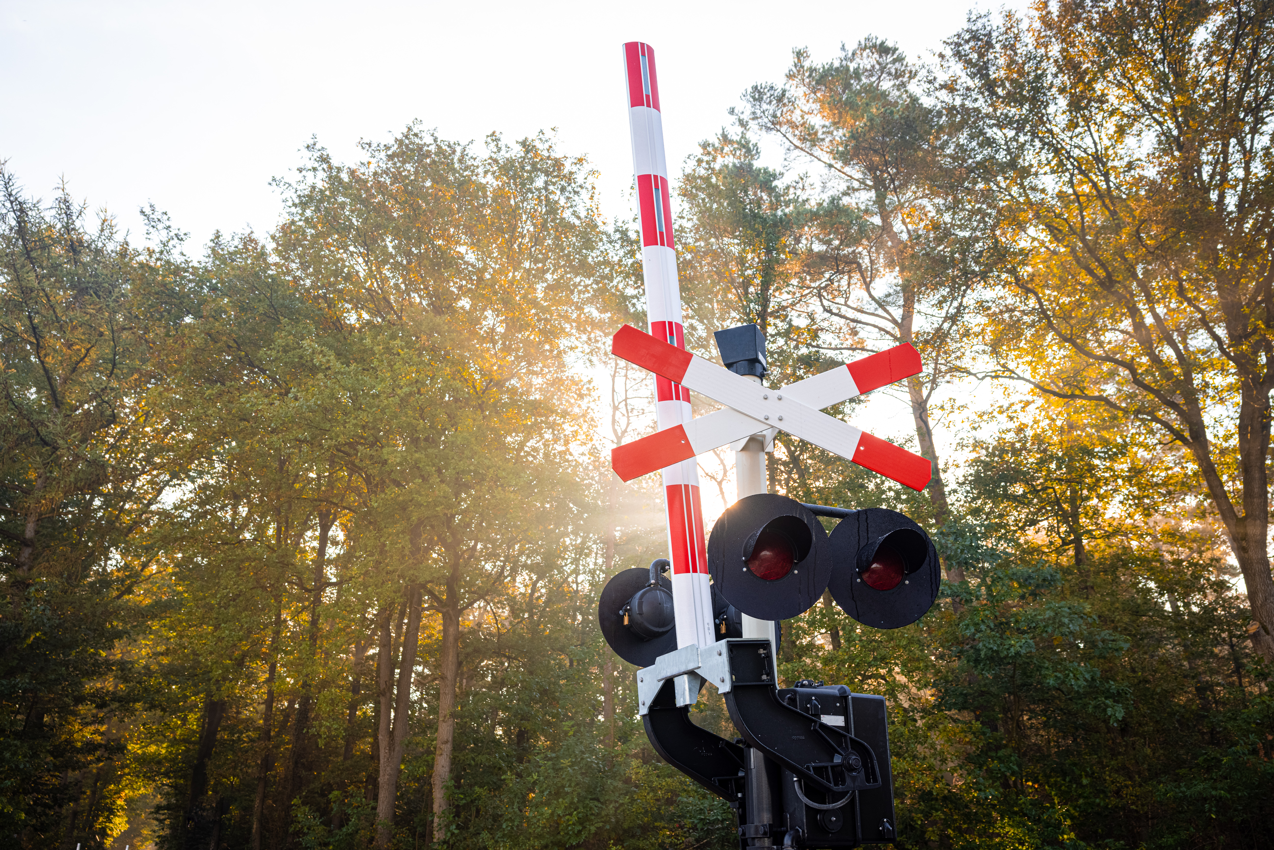 Treinen rijden weer na botsing bij politieachtervolging Berghem | ProRail